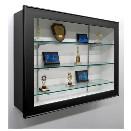SwingFrame Designer Metal Frame Wall Lighted Display Case with Glass S ...